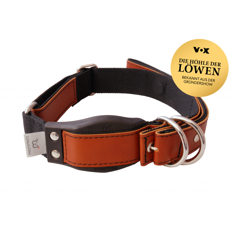 Hundehalsband Mit Integrierter Leine